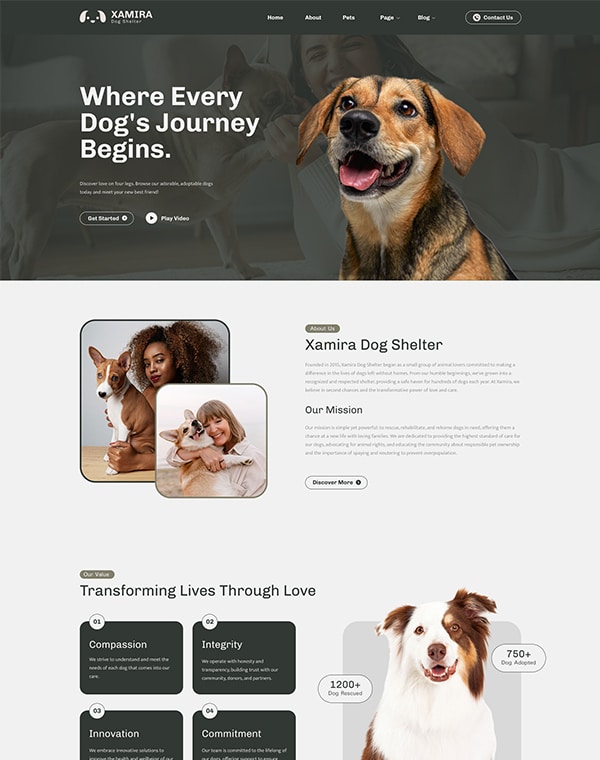 Rtmkit All In One Toolkit For Complete Wordpress Solutions