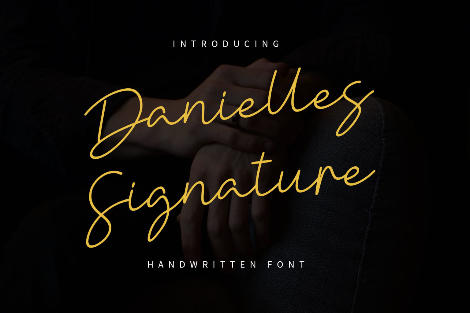 Danielle Signature - Handwritten Font - Rometheme