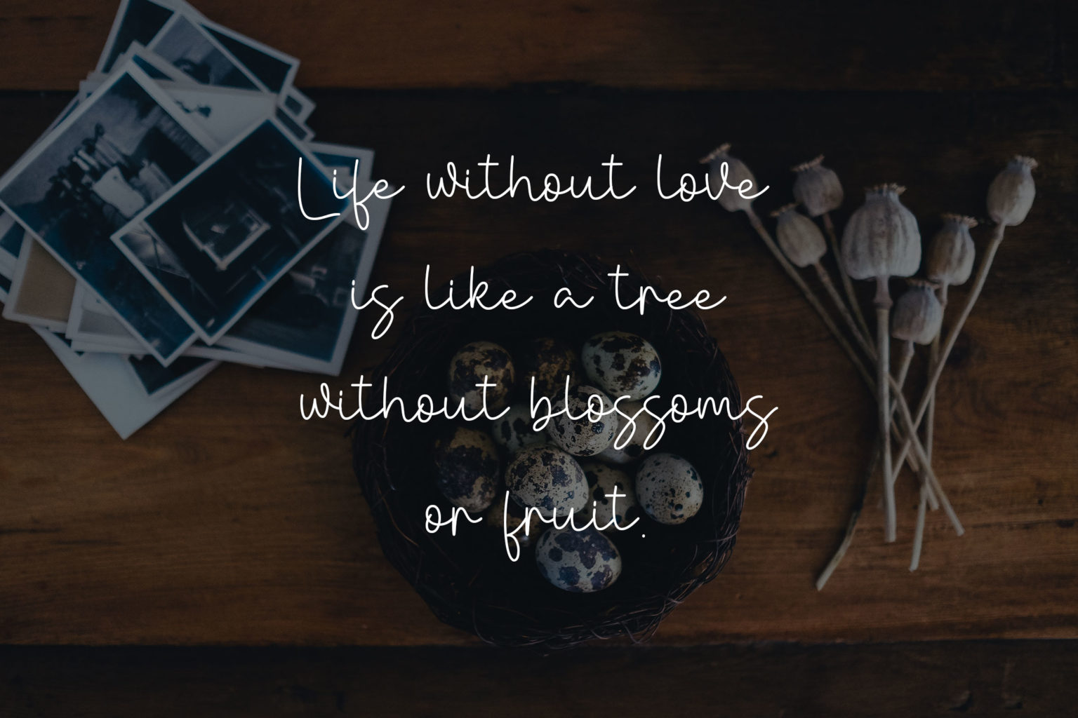 Danielle Signature - Handwritten Font - Rometheme