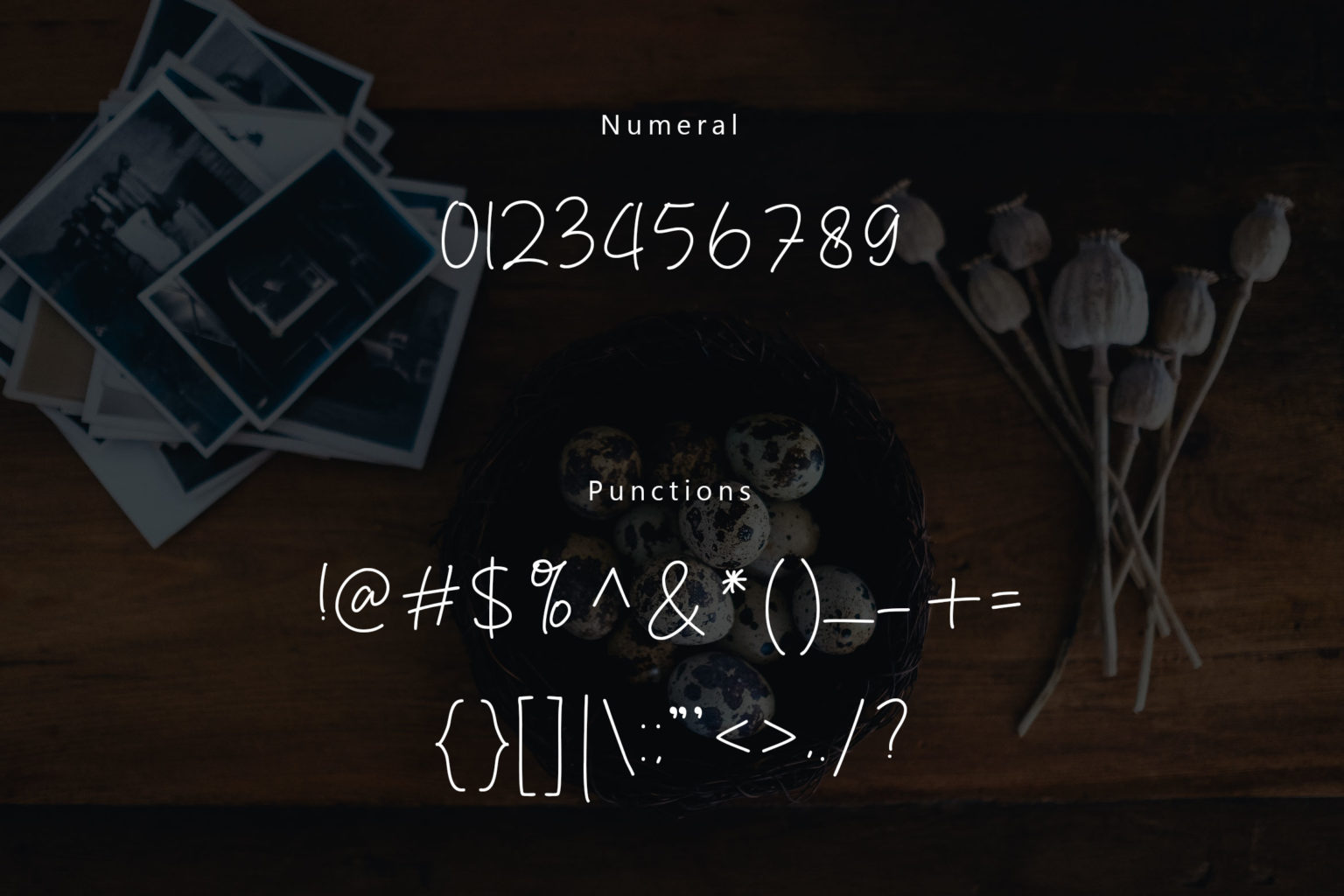 Danielle Signature - Handwritten Font - Rometheme