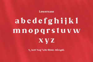 Malevolent - Serif Font - Rometheme