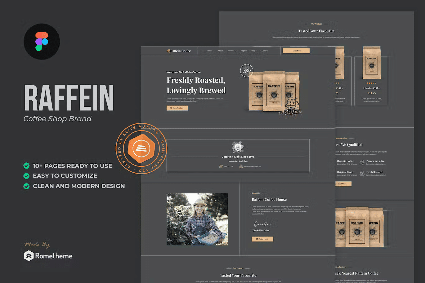 Raffein - Coffee Shop Brand Figma Template - Rometheme